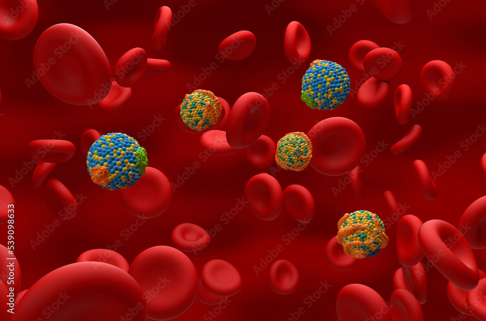 HDL good and LDL Bad lipoprotein cholesterol in the blood flow ...