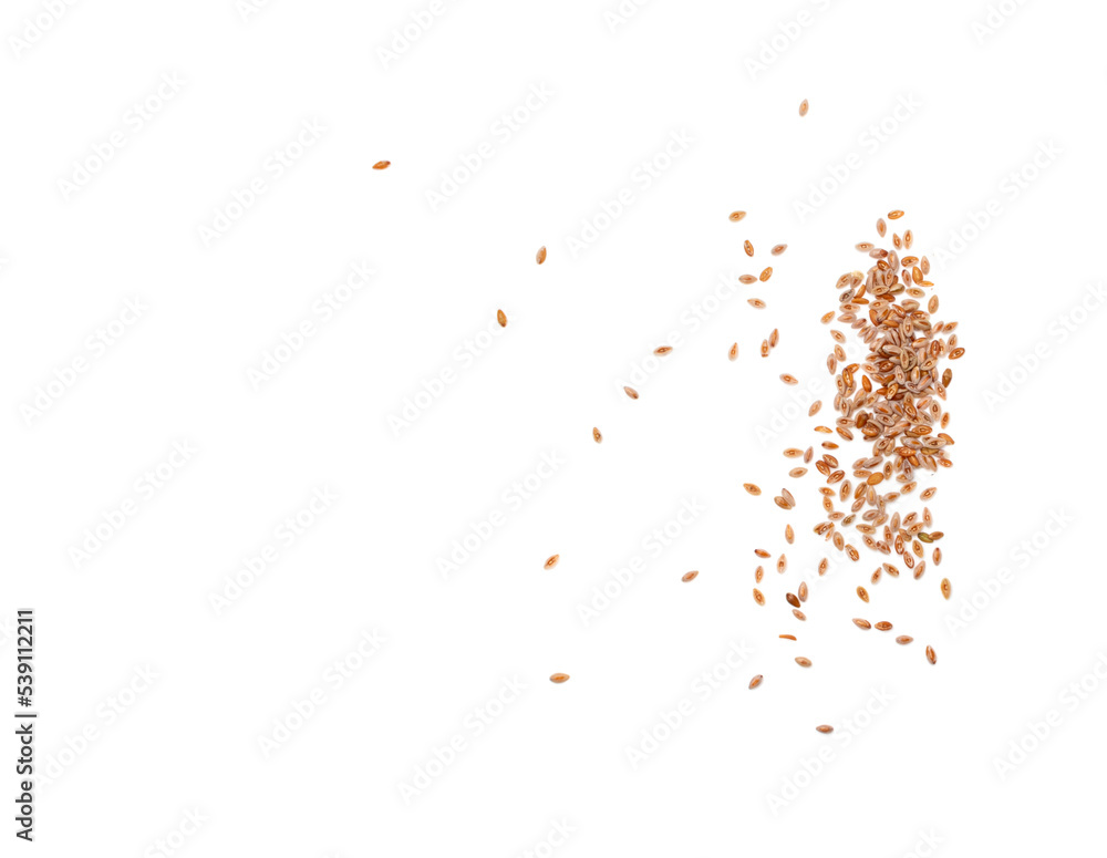 Plantago Ovata Seeds Isolated, Psyllium Husk, Isabgol Ispaghula Stock ...