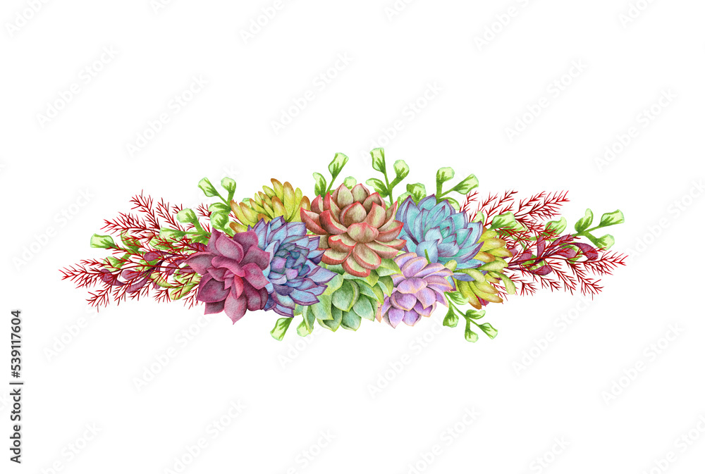 Greenery, succulent and branches frame border on white background ...
