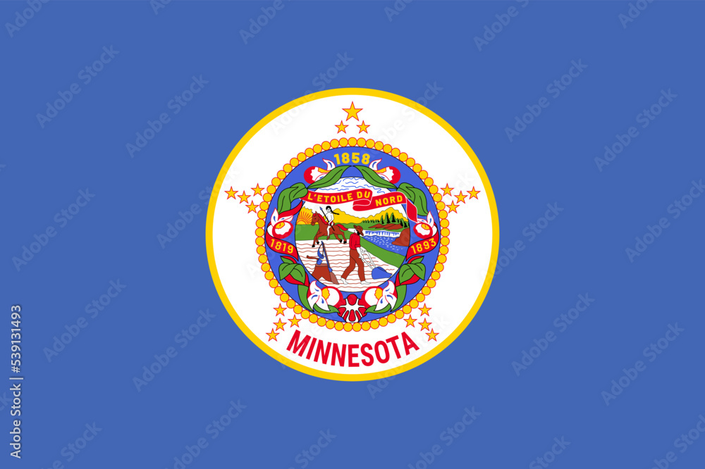 Flag of Minnesota, symbol of USA federal state. Full frame federal flag ...