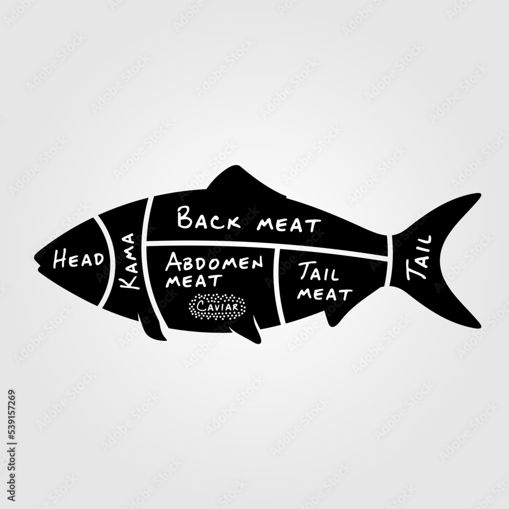 Cuts of Fish. Butchery diagram with Fish silhouette Stock Vector ...