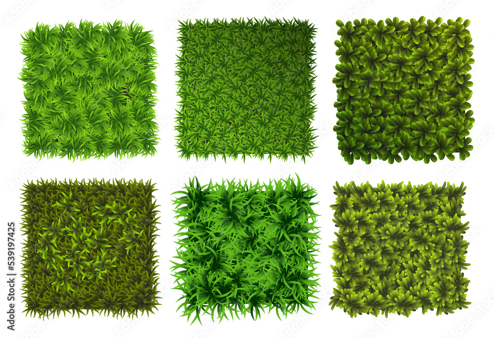 Green grass squares. Ground cover plants background texture. Design for ...