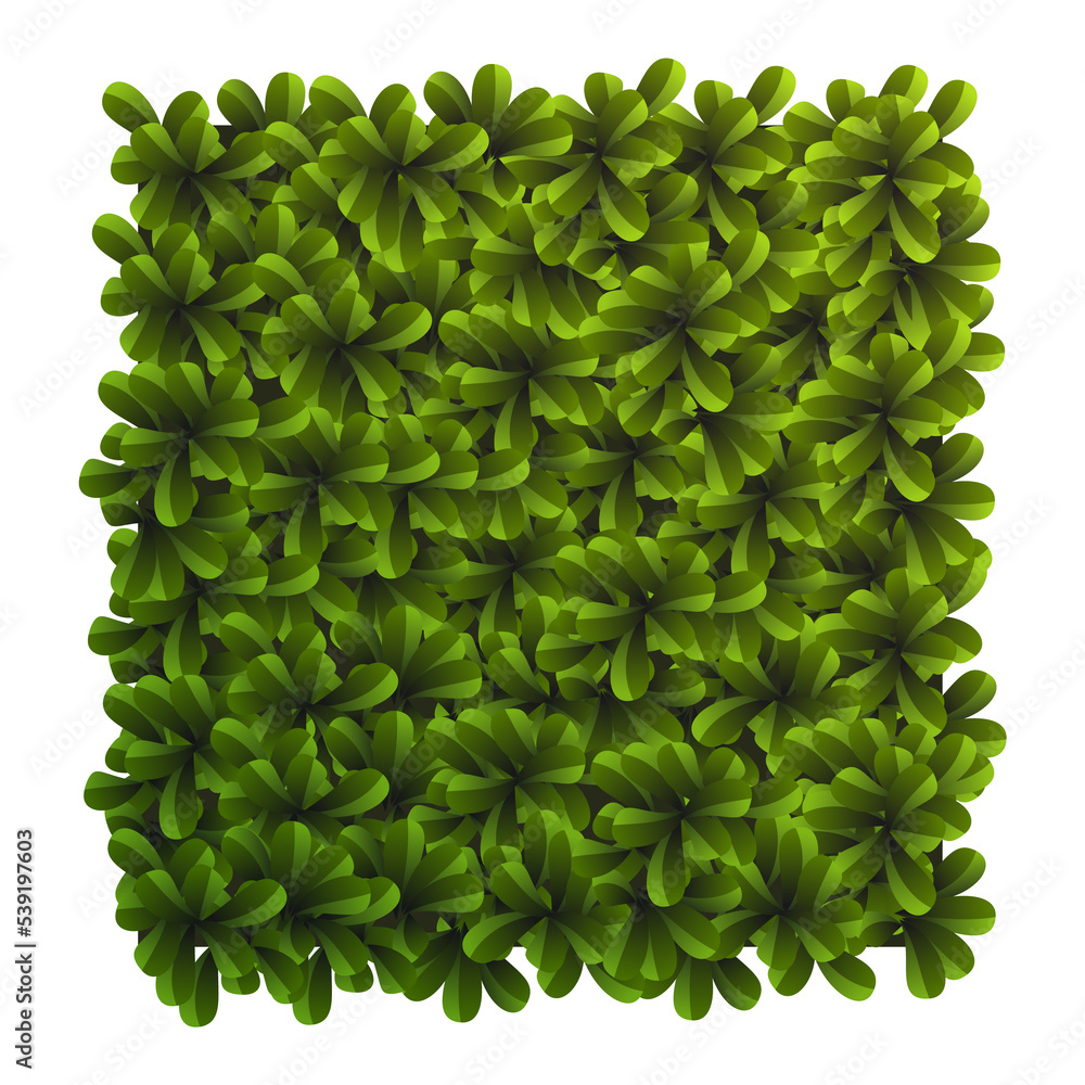 Green grass square. Ground cover plants background texture. Design for ...