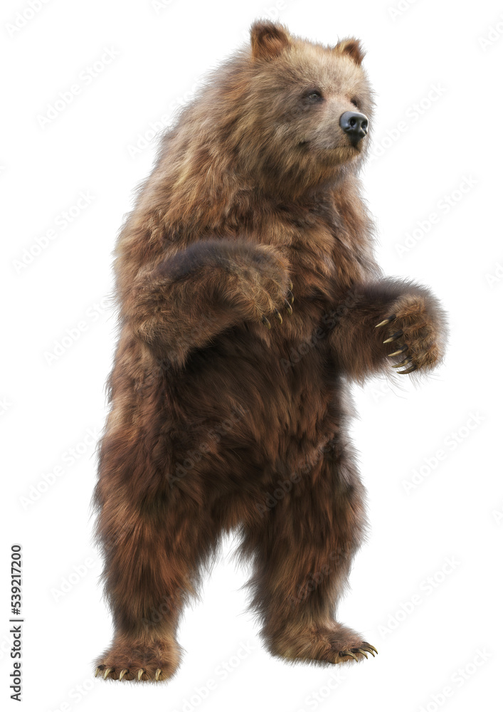Large brown bear transparent PNG overlay. 3d rendering Stock ...