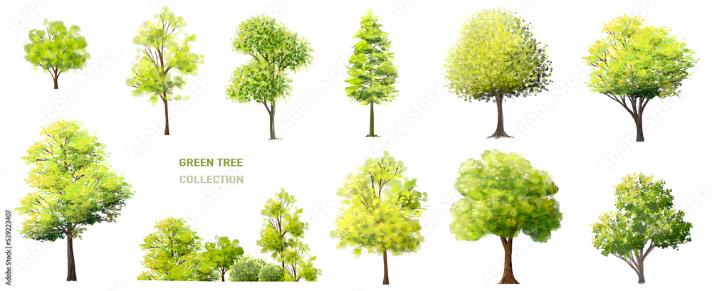 watercolor set of tree side view isolated on white background for ...