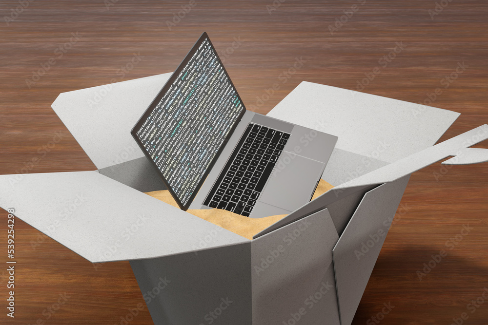 Laptop showing programming code in a take away box of sand ...