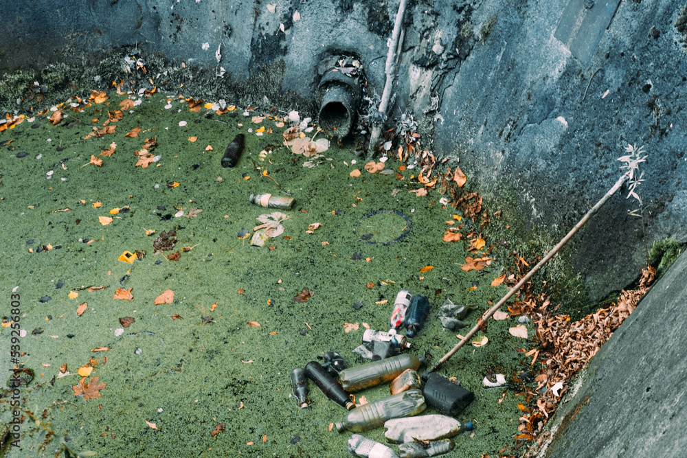 Toxic pollution of the environment or pollution of natural water bodies ...