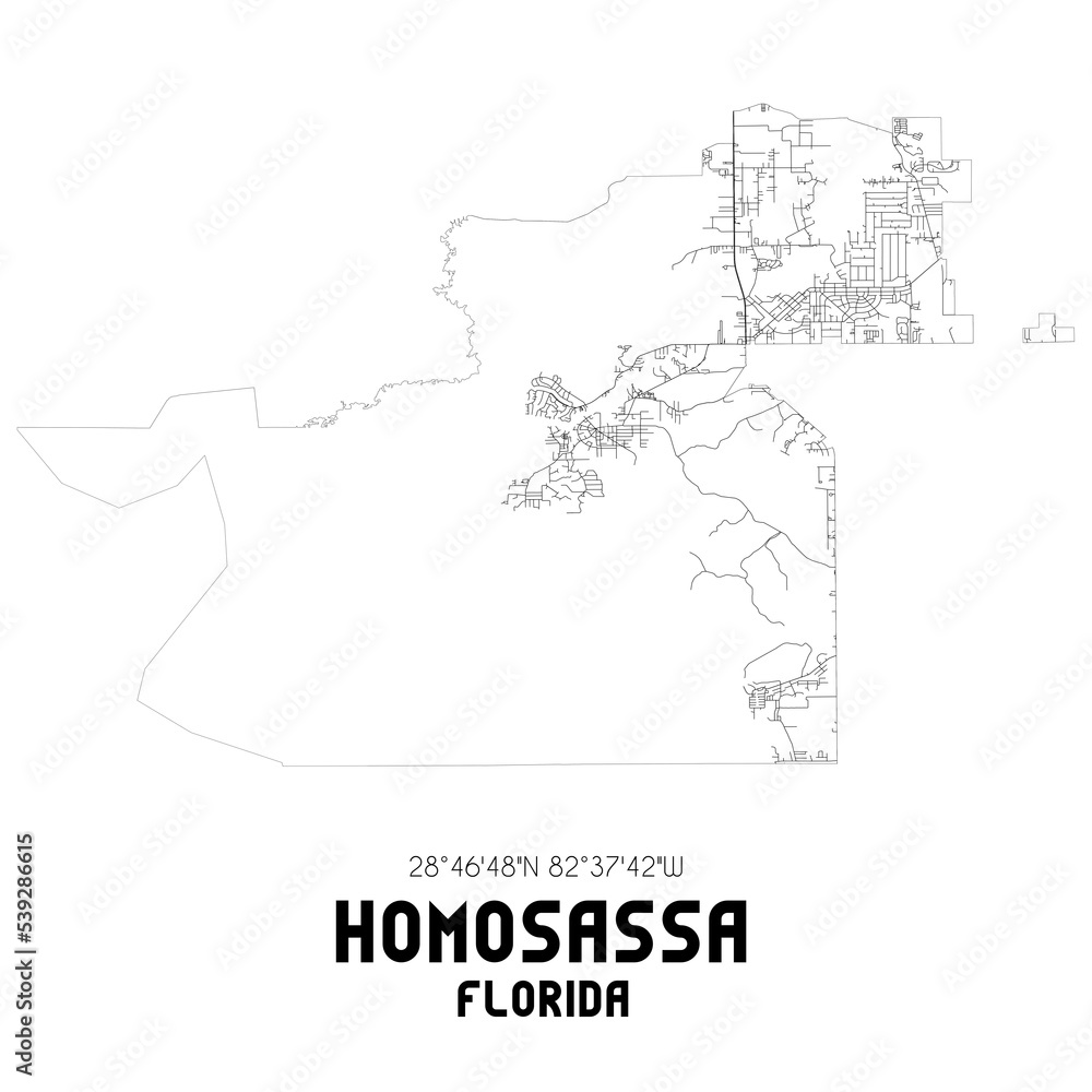 Fototapeta mapa świata dla dzieci Homosassa Florida. US street map with ...