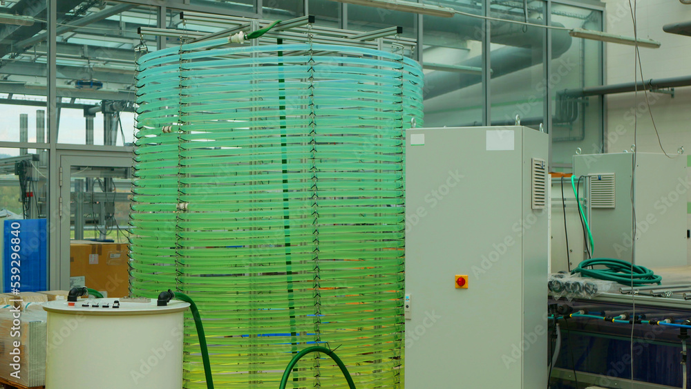 Algae science reactor tubular, research pipe hose modern laboratory ...