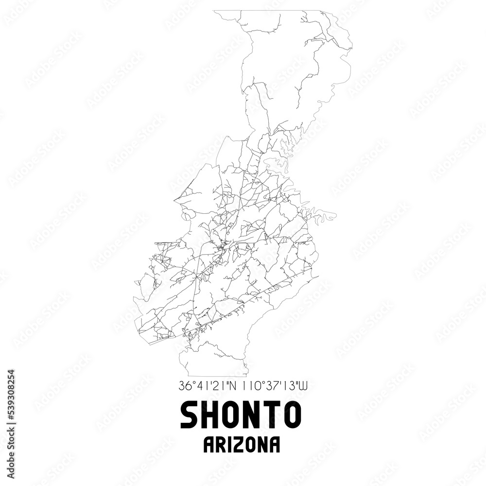 Fototapeta mapa świata dla dzieci Shonto Arizona. US street map with ...