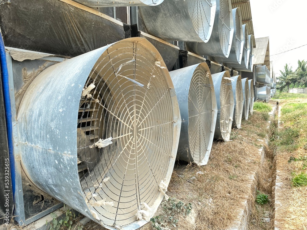 CONCEPT, Modern poultry production, Variable Speed Exhaust Fans for ...