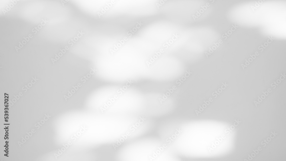 Blur Overlay Shadow Leaves Background,Abstract Sunlight effect Nature on Gray Cement Backdrop ...