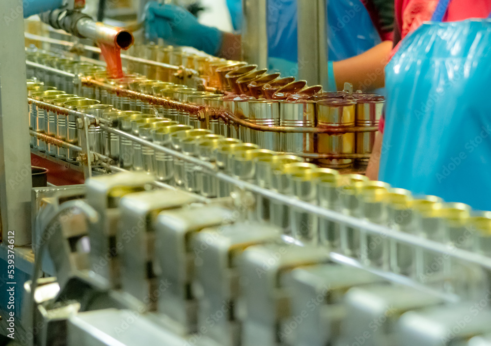 Canned fish factory. Food industry. Sardines in red tomato sauce in ...