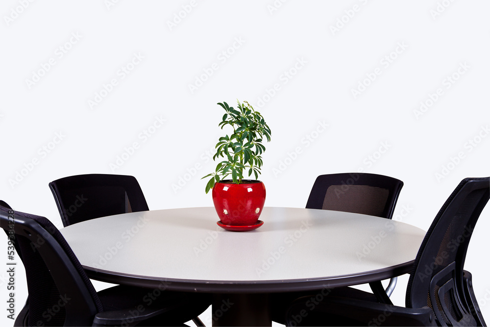 flower pots on a quilted table Stock Photo | Adobe Stock