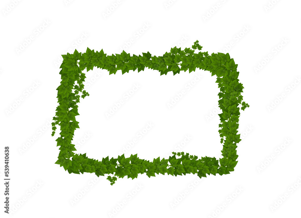 Ivy green leaves and lianas frame, climbing plant border. Natural foliage, garden ivy shrub leaf ...