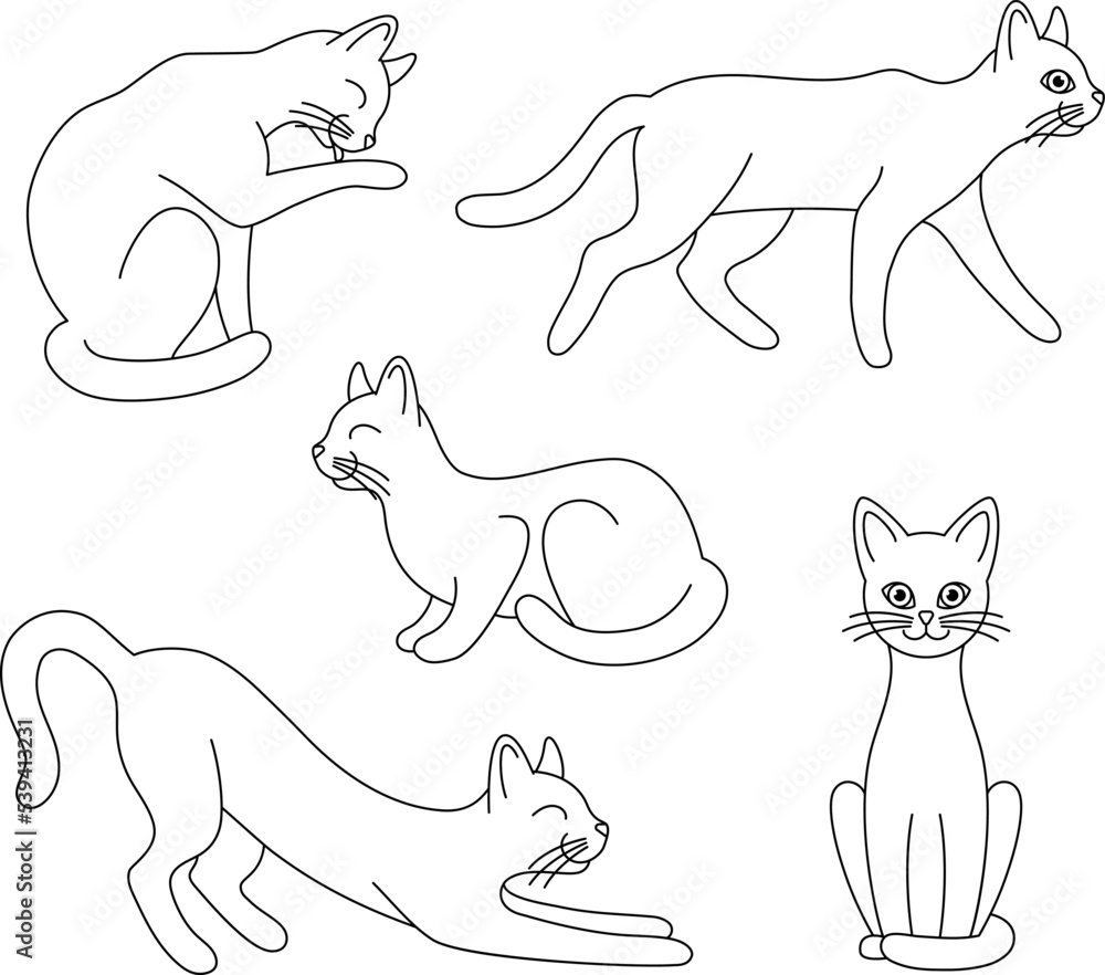 Set of black outline cats. Isolated black line running, sitting ...