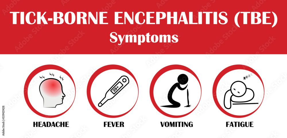 Tick-borne encephalitis symptoms, Flat style vector illustration ...
