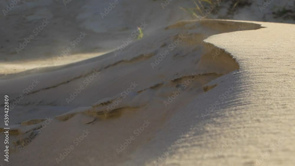 Vidéo Stock Sand dust of seaside sand dunes flowing in the air, sand ...