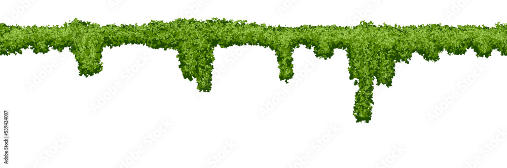 Seamless line swamp moss texture on white background. Top of fence or ...