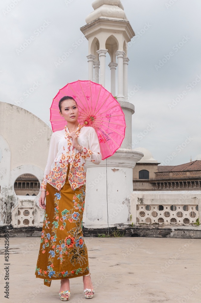 Fashion portrait photo of a beautiful elegant young asian female lady ...
