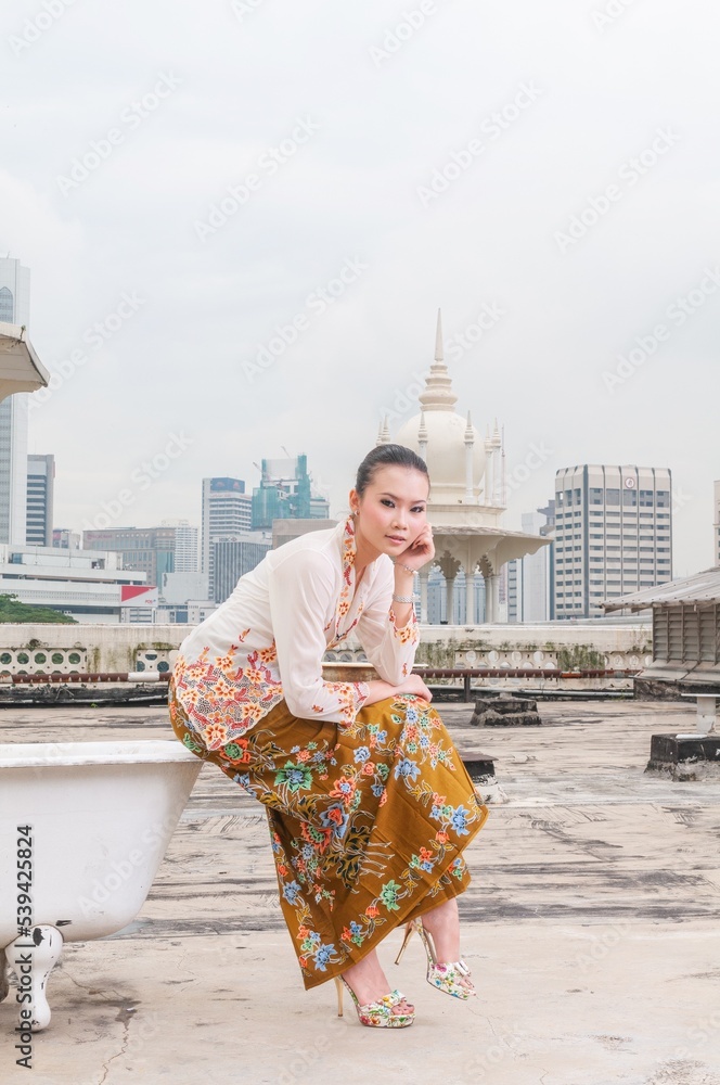 Fashion portrait photo of a beautiful elegant young asian female lady ...