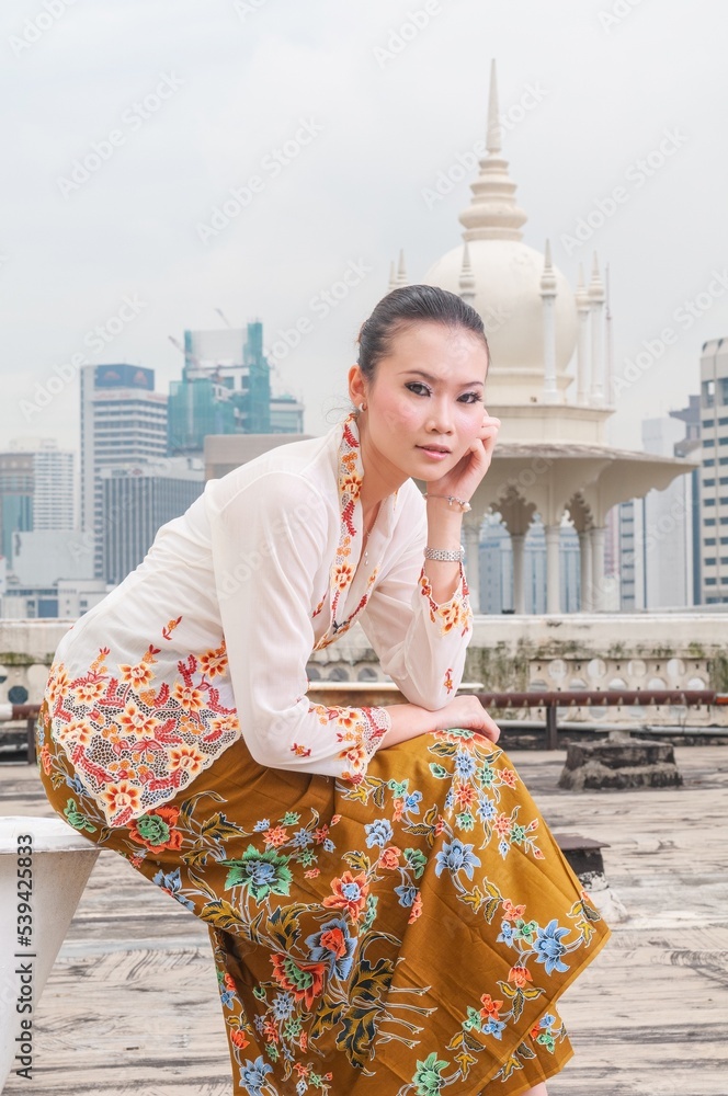 Fashion portrait photo of a beautiful elegant young asian female lady ...