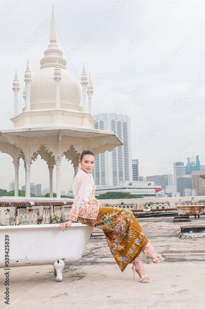 Fashion portrait photo of a beautiful elegant young asian female lady ...