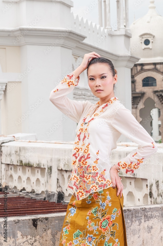 Fashion portrait photo of a beautiful elegant young asian female lady ...