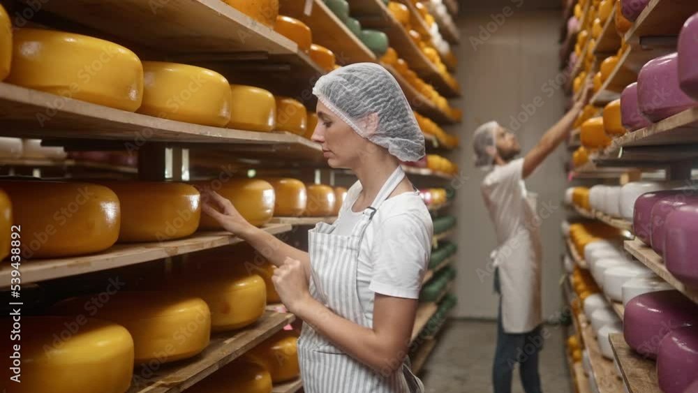 Caucasian young pretty woman and man checking ripening process of dairy ...