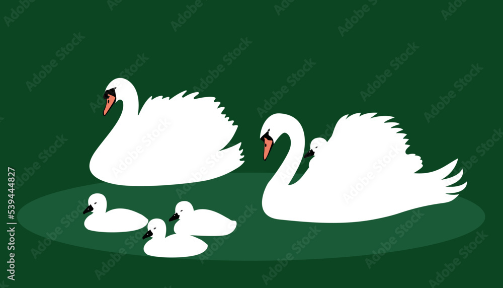 Cartoon swan family swimming in the pond. White swan largest flying ...