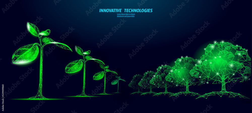 Low poly tree park alley wood. Ecology save nature forest concept ...