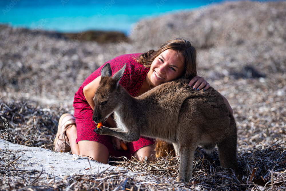 girl in dress feeds, petts and cuddles wild kangaroo on lucky bay beach ...