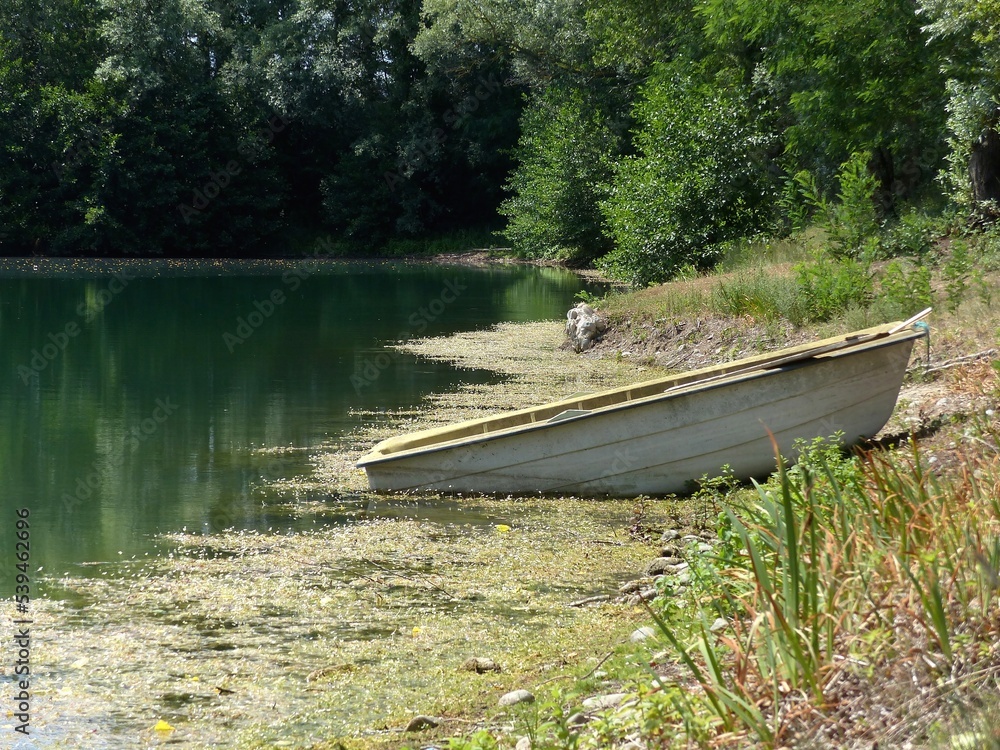 petite barque de bois au bord d'un etang servant au pécheurs par une ...