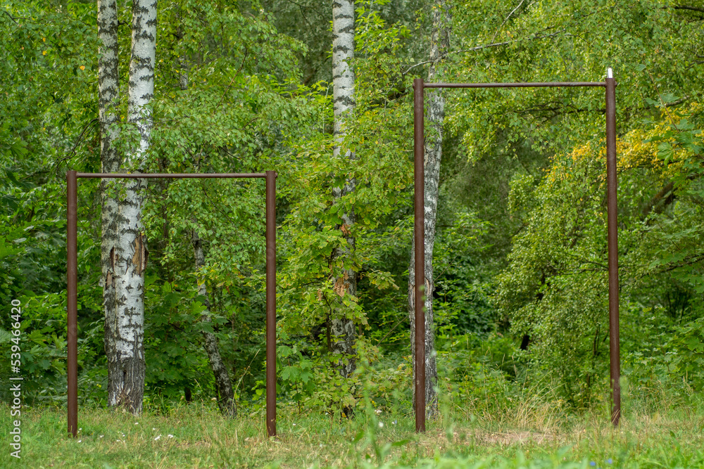 Homemade old horizontal bars on the background of trees. Do-it-yourself ...