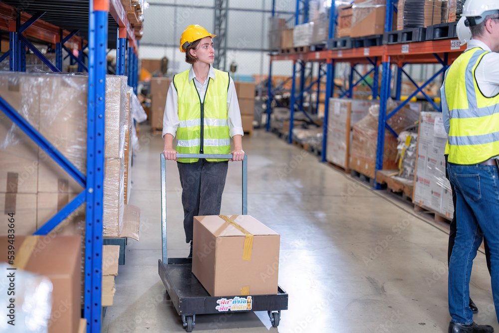 Warehouse worker use trolley carry carton box walk along the steel ...