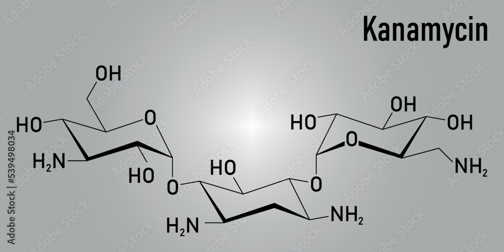 Kanamycin antibiotic drug molecule (aminoglycoside). Skeletal formula ...