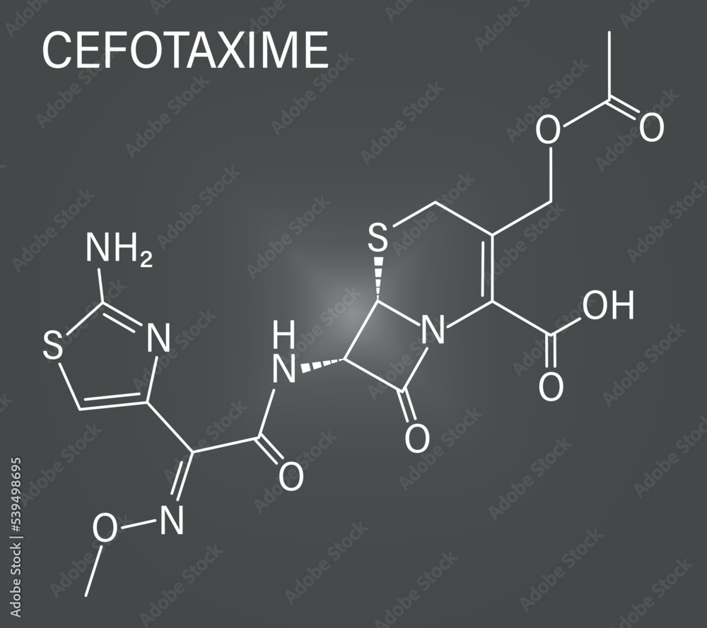 Cefotaxime antibiotic drug molecule (cephalosporin, third generation ...