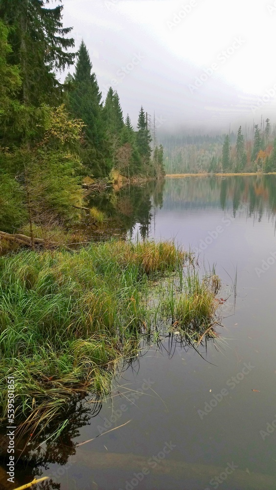Lake Laka with floating islands on the surface is the smallest ...