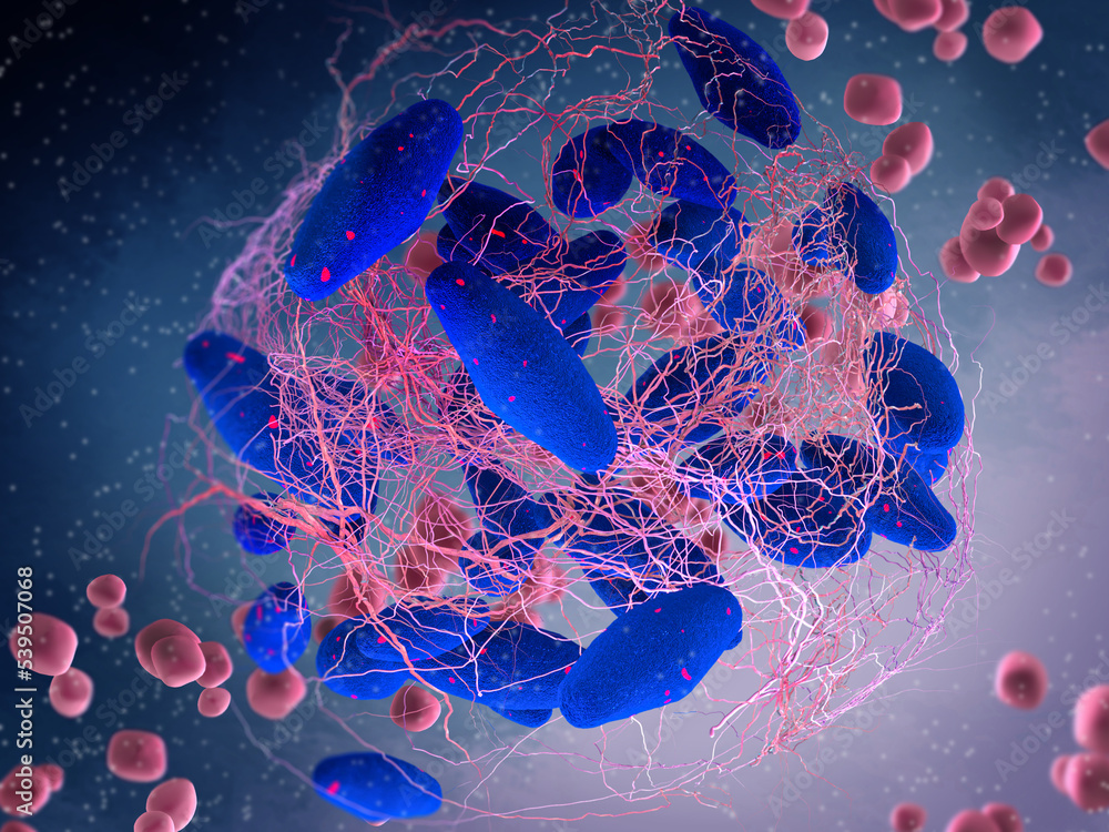 Medical background, Escherichia coli, gram-negative rod-shaped bacteria ...