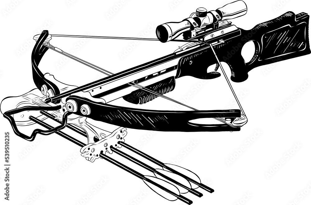 PNG engraved style illustration for posters, decoration and print. Hand ...