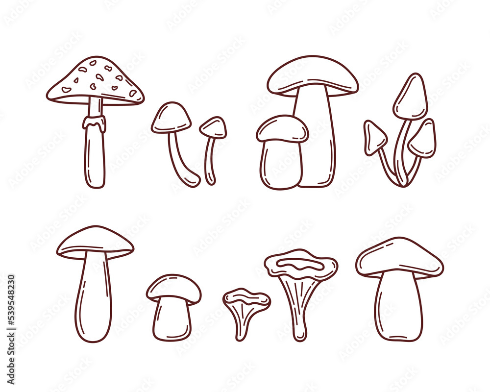 Mushroom set in doodle style. Porcini, boletus, chanterelle, honey ...