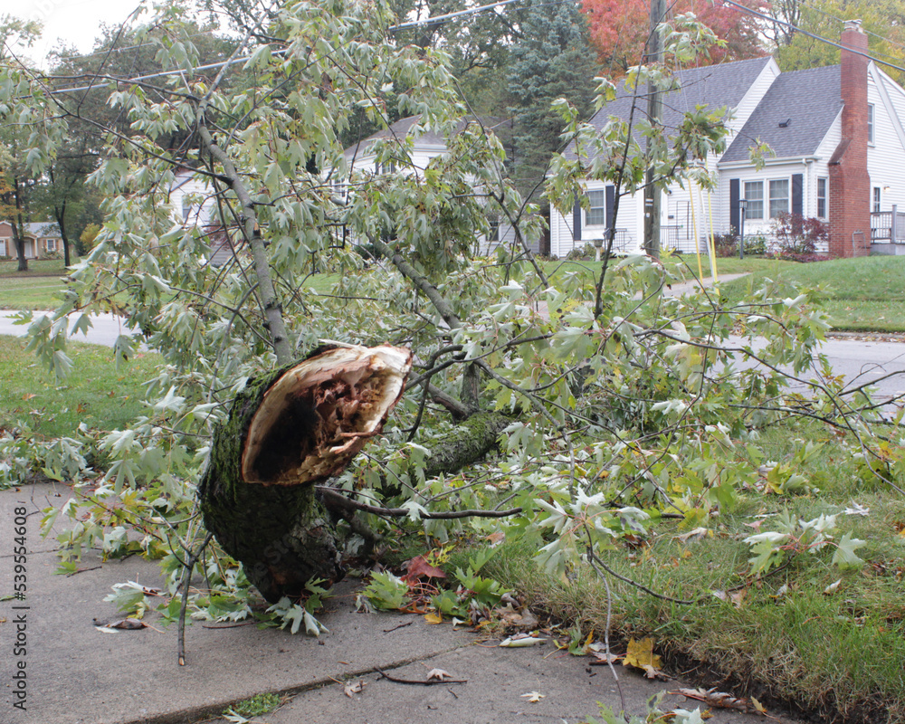 storm damage with broken limbs and fallen branches in a neighborhood ...