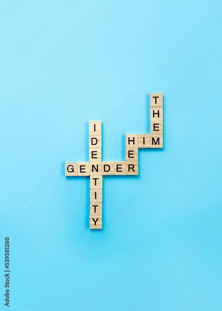 Words Gender Identity and His, Her and Them made up of wooden blocks ...