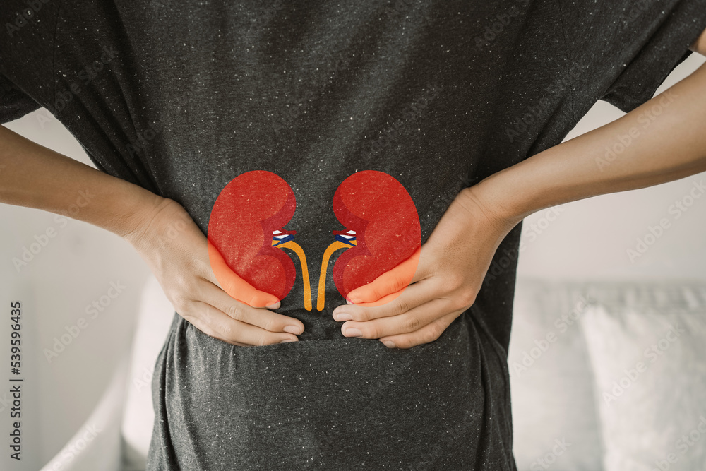 Back View Of Young Man Suffering From Lower Back Pain With Kidney Shape back-view-of-young-man-suffering-from-lower-back-pain-with-kidney-shape