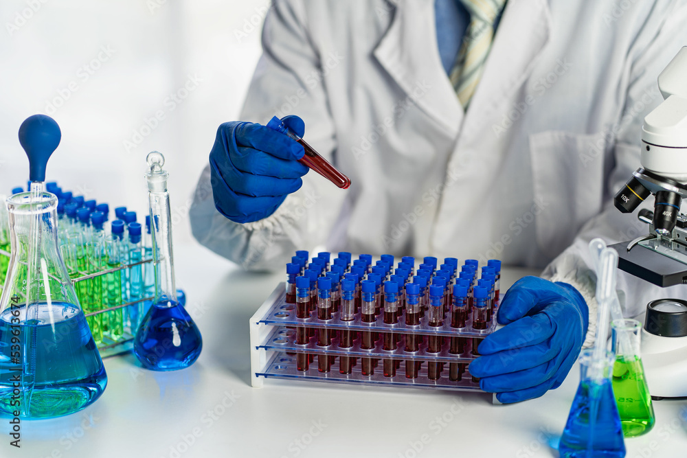 Laboratory assistant picks up an experimental blood vessel. Medical ...