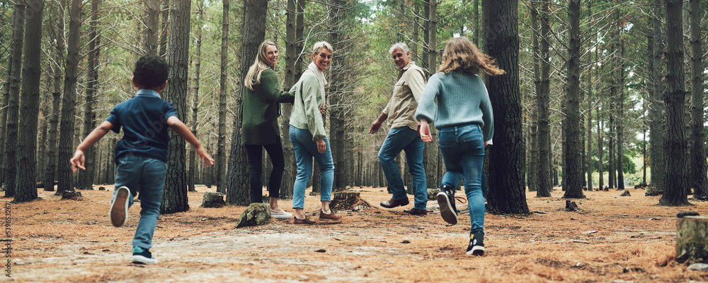 Forest, big family and adventure with children, parents and ...