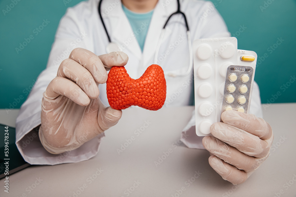 Doctor holds model of thyroid gland and pills close-up. Protection ...