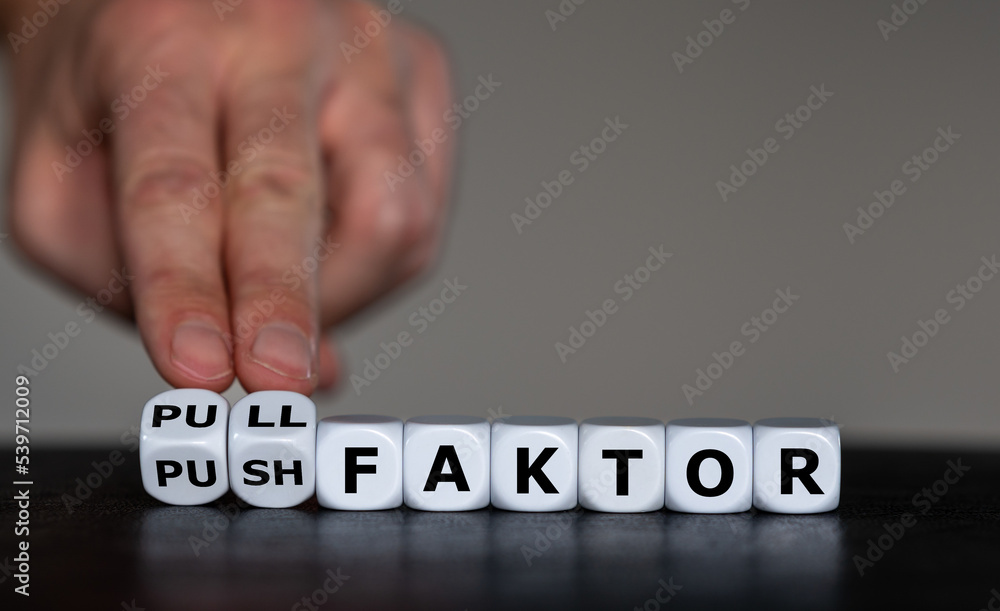 Dice form the German expression 'pull faktor' (pull factor) and 'push ...