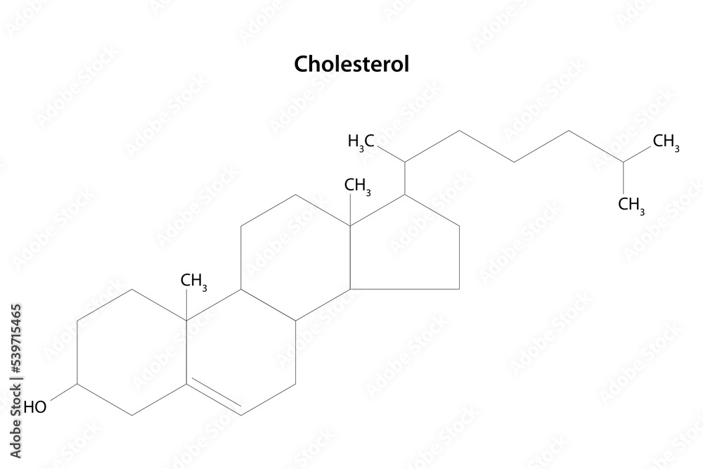 Cholesterol molecule. Structural formula. Essential component of cell membranes and precursor of ...