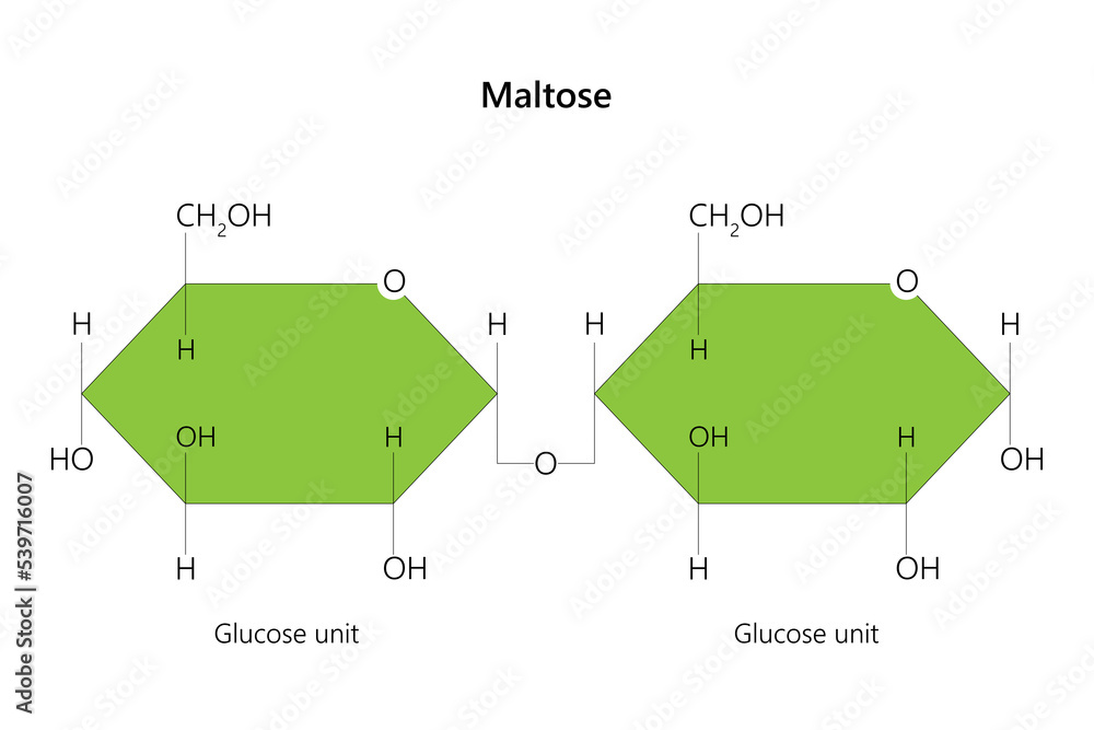 Maltose, also known as maltobiose or malt sugar. Stock Illustration ...